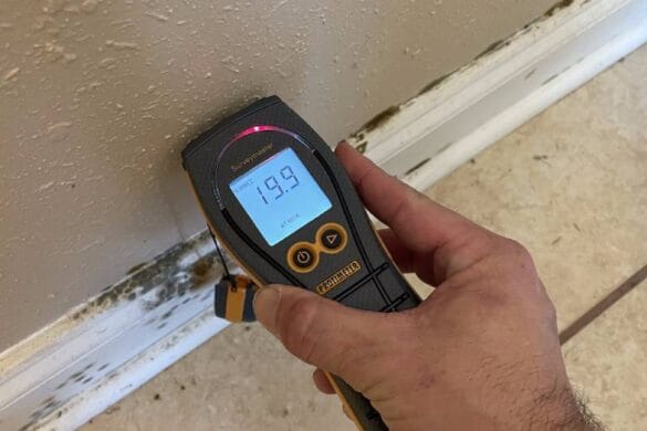 Size of Mold Spores and Mycotoxins—and Why it Matters - Mold Solutions