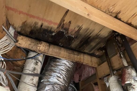 What is a 'Flood Cut'? - Mold Solutions