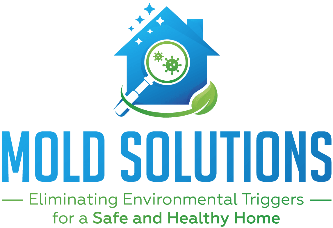 Mold Removal and Remediation | Tampa, FL - Mold Solutions