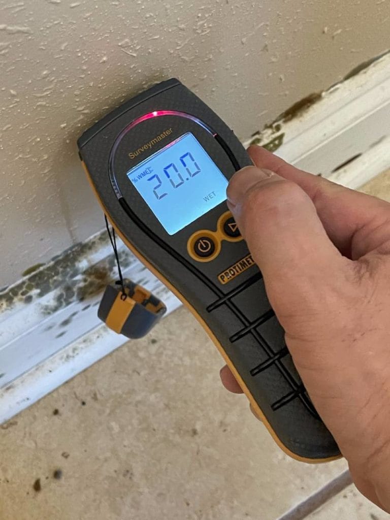 Mold Inspection Tampa Florida - Mold Solutions