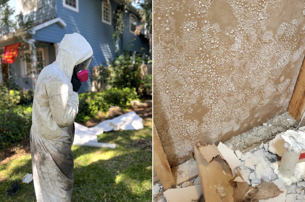 Mold Removal vs Mold Remediation - Mold Solutions Mold Removal vs Mold Remediation - Mold Solutions