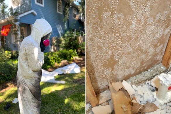 What Kills Mold Smell? (3 Scenarios, 10 Solutions) - Mold Solutions